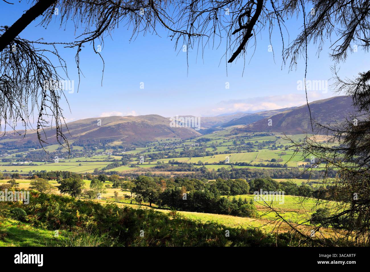 View over the Vale of Lorton to the Whinnlatter fells, Lake District ...