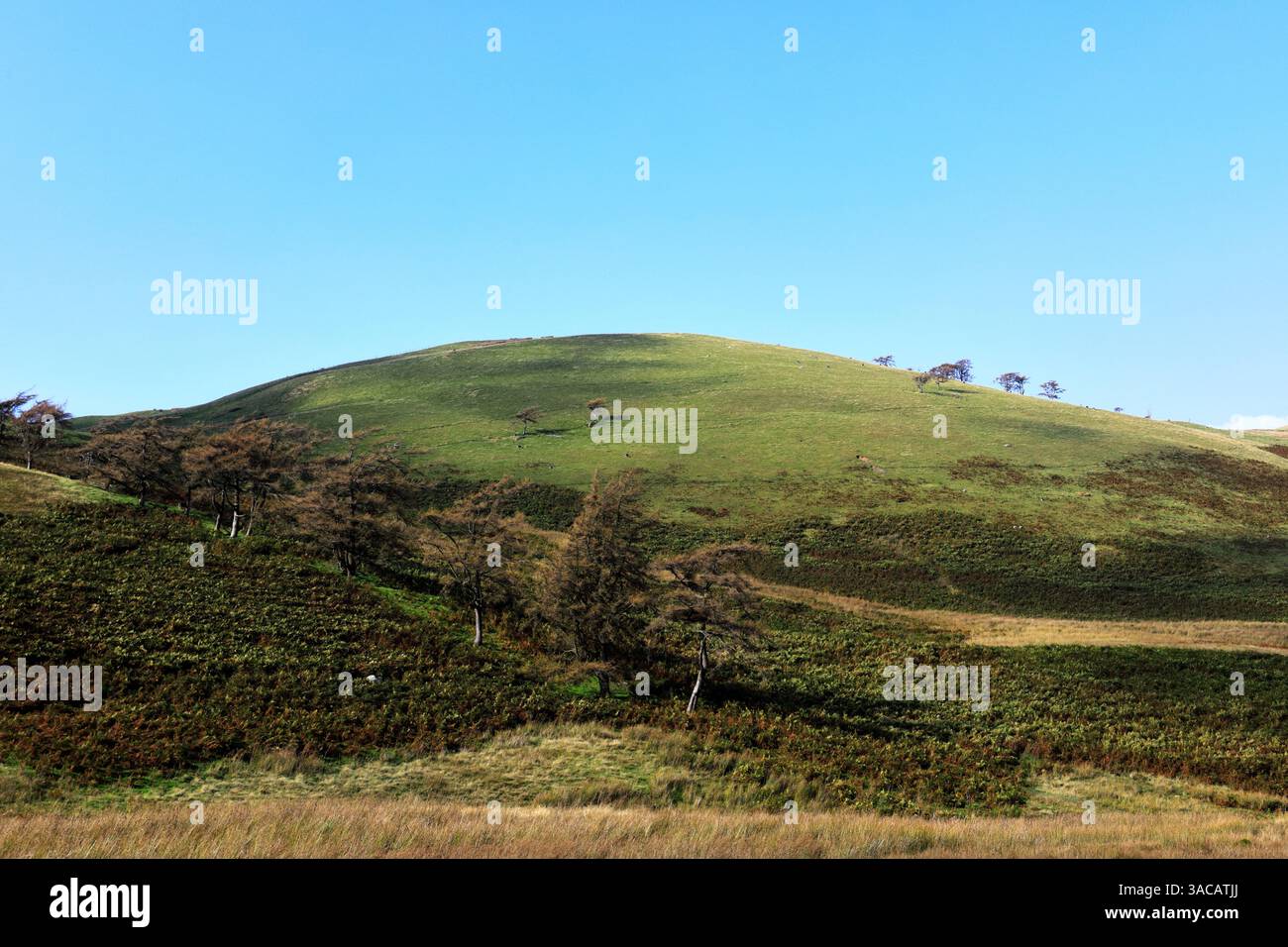 View of the summit cairn and OS Trig point, of Fellbarrow fell above ...