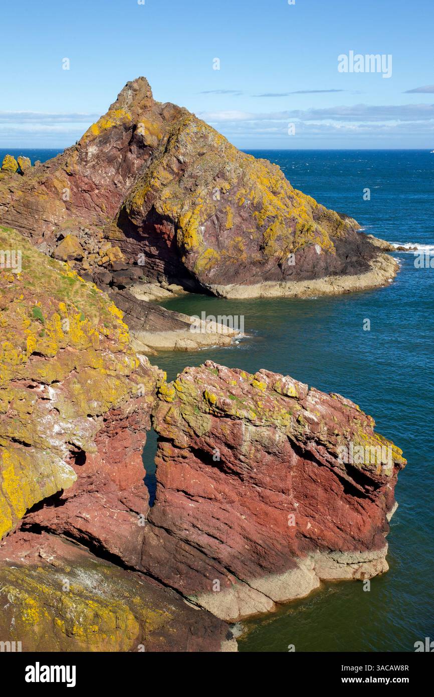 Volcanic rock formations on the coastline of St Abb's Head ...