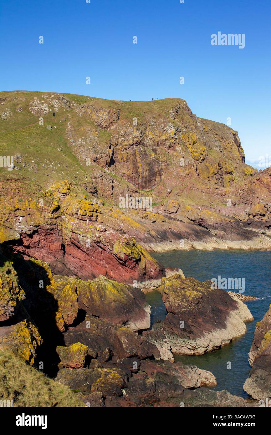 Volcanic rock formations on the coastline of St Abb's Head ...
