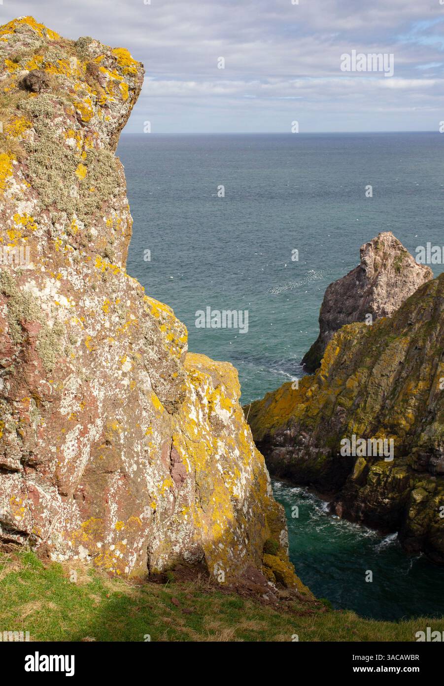 Volcanic rock formations on the coastline of St Abb’s, surrounded by ...