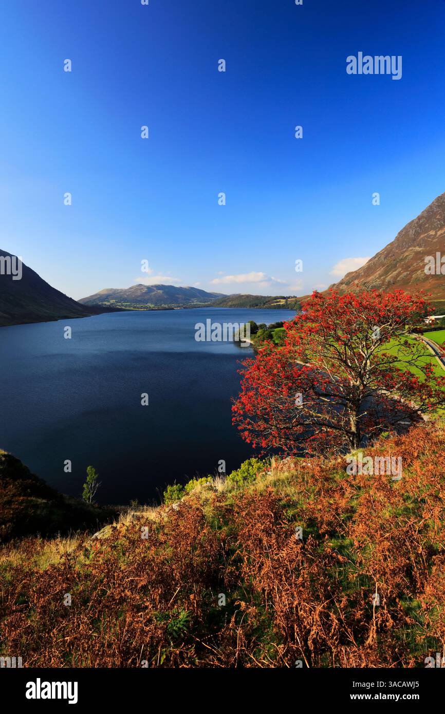 Autumn view over Crummock Water, Lake District National Park, Cumbria ...