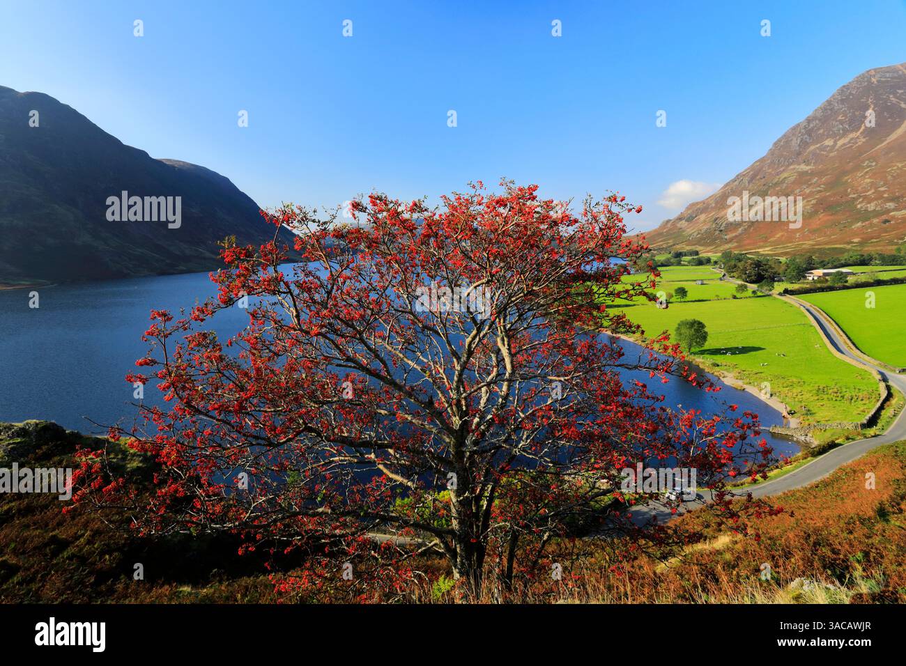 Autumn view over Crummock Water, Lake District National Park, Cumbria ...