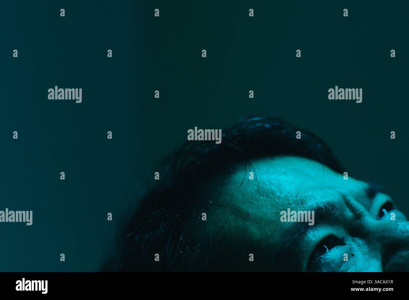 Stomach Bug (2024) *Filmstill - Editorial Use Only* see Special ...