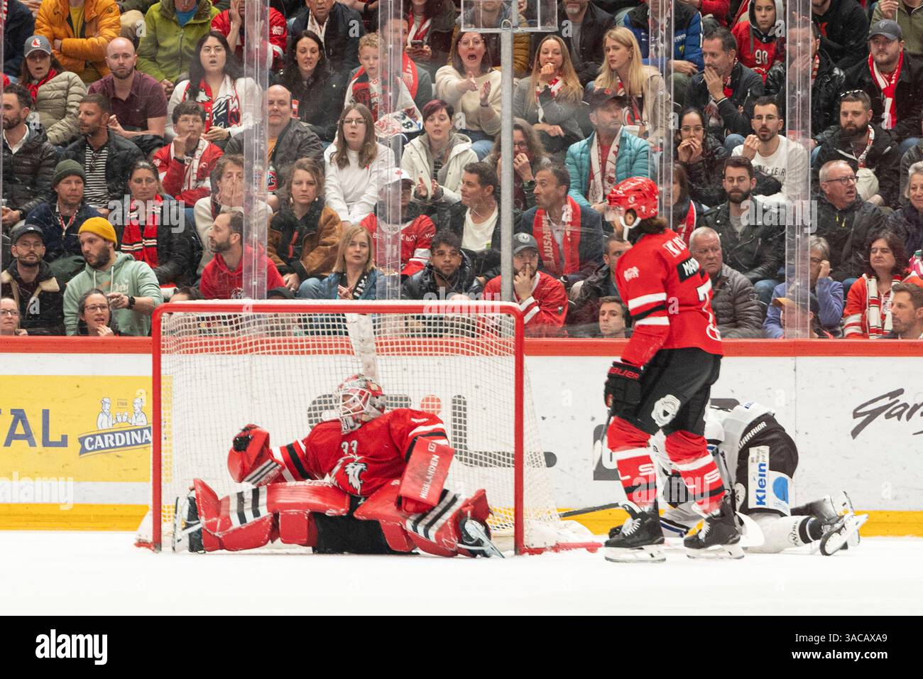 Lausanne, Switzerland. , . Kevin Pasche (goalkeeper) of Lausanne HC #33 ...