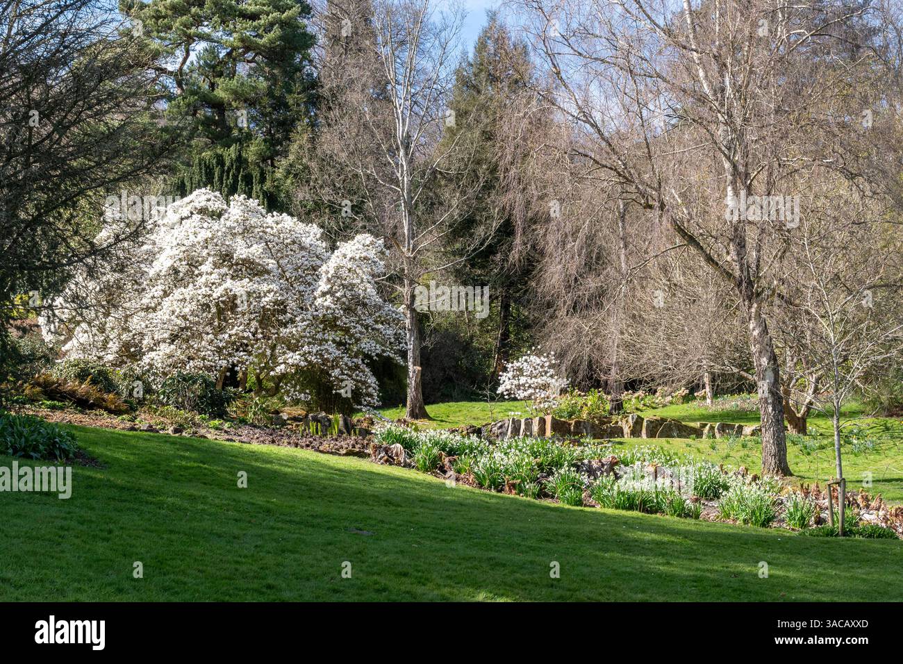 Spring view of the gardens at Chartwell House in Kent, England, UK ...