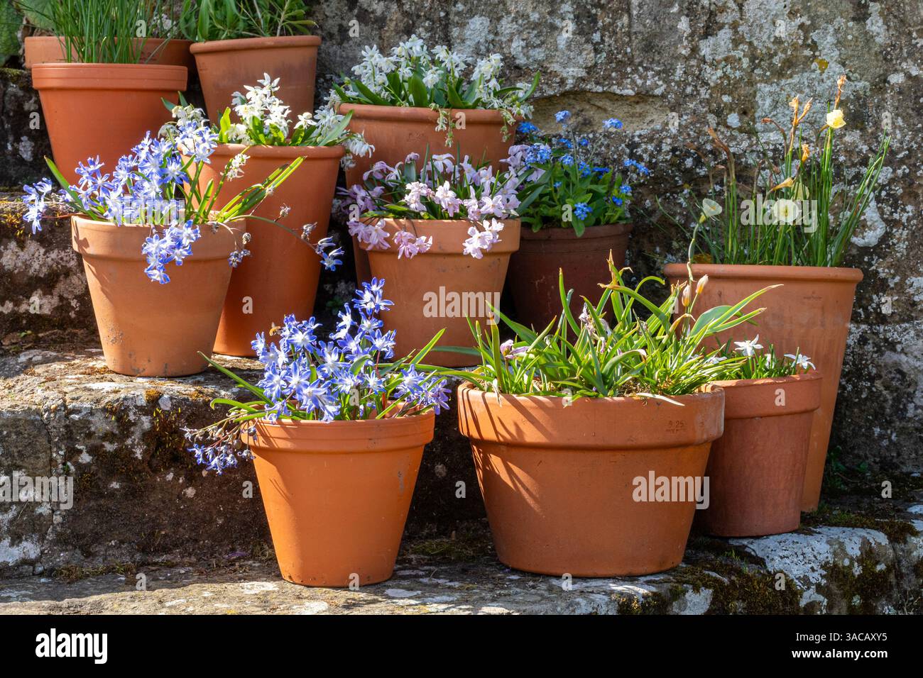Terracotta pots uk hi-res stock photography and images - Alamy