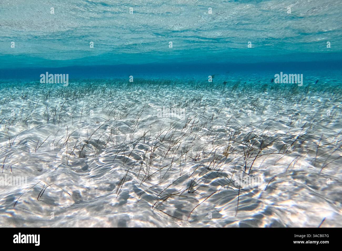 Exuma Cays, Warderick Wells, Bahamas, Travel, 2025 Bahamas Bahamas ...