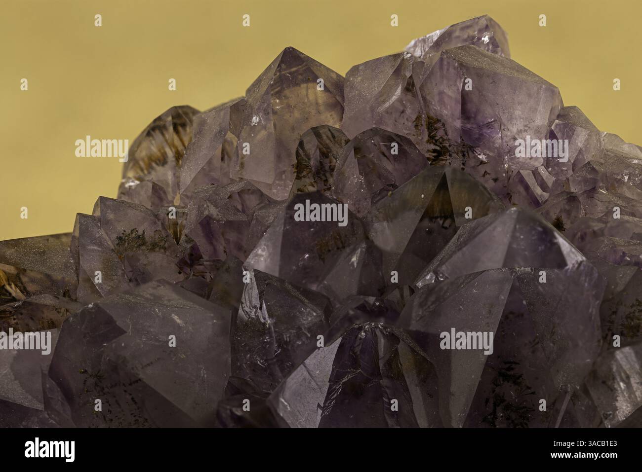 This captivating image features a vibrant amethyst crystal cluster ...