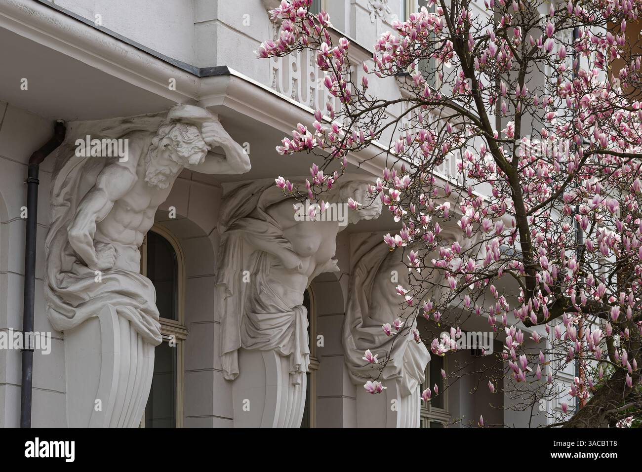 Elegant historical building with detailed white atlantes and caryatids ...