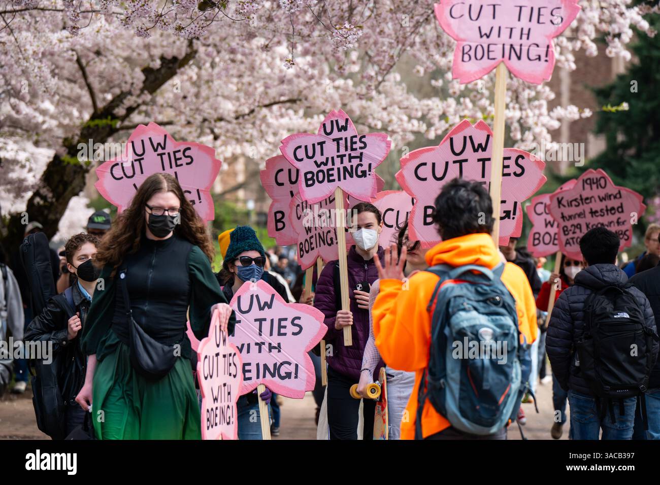 Seattle, USA. 3rd Apr 2025. Amongs the Cherry Blossoms a protest ...