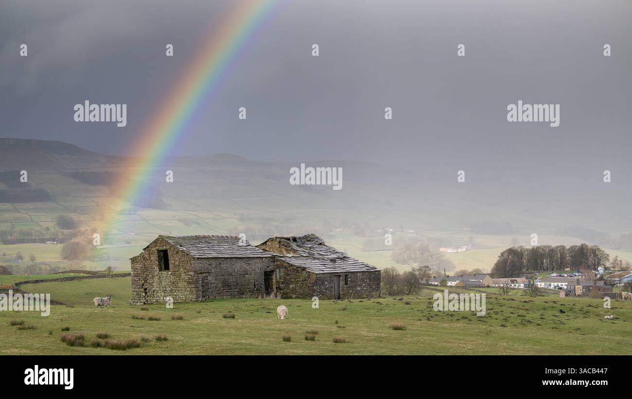 Old derelict barn in upland pasture underneath a rainbow as a rain ...
