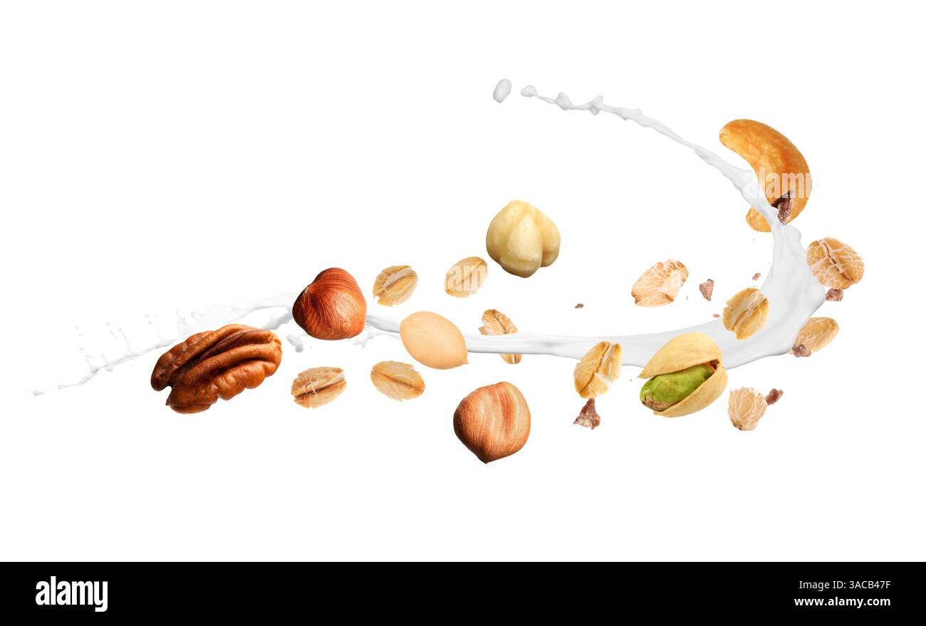 Oat flakes, nuts and splashing milk in air on white background. Banner ...