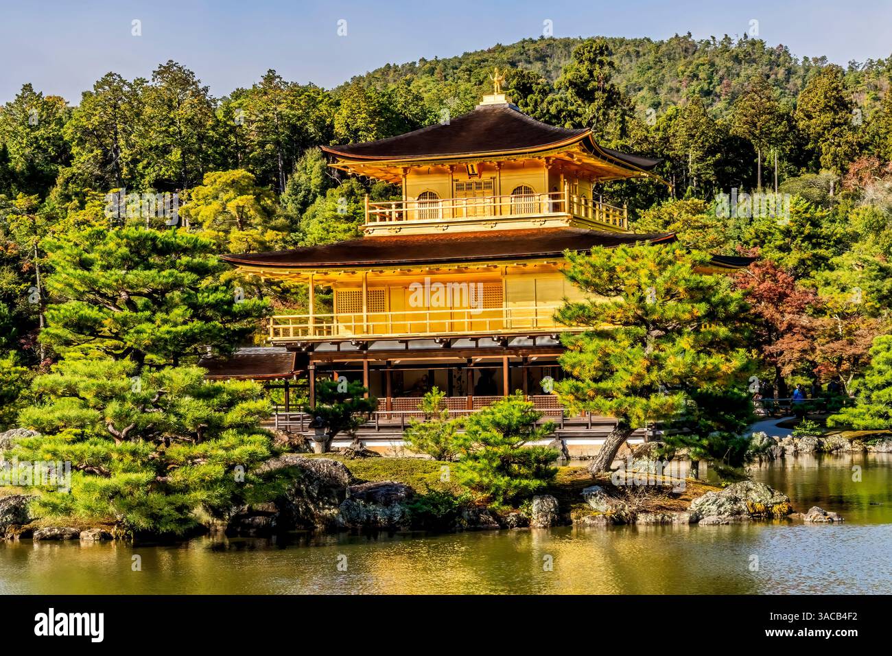 Colorful Kinkaku-Ji (Rokuon-Ji) golden pavilion, Kyoto, Japan. Dates to ...