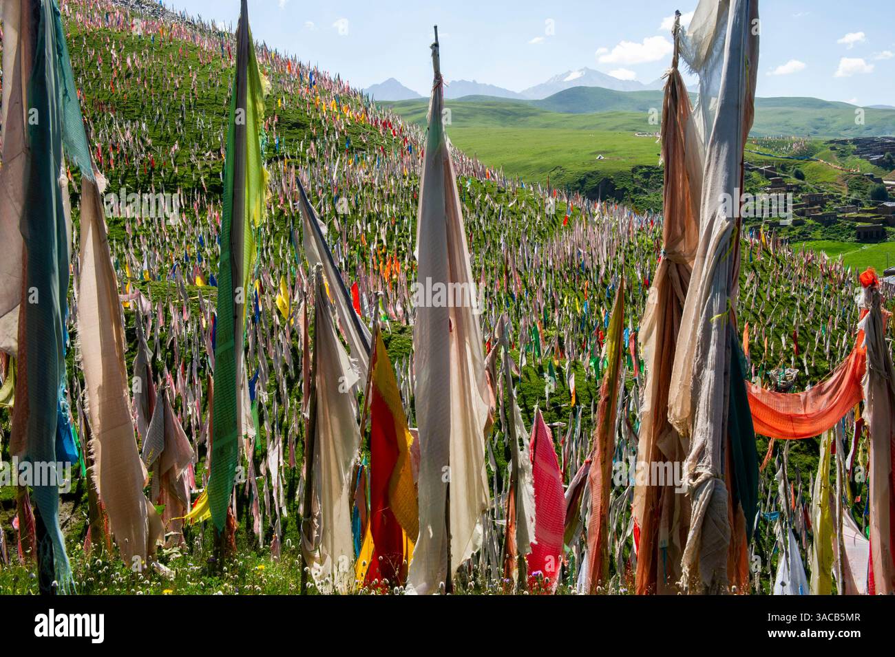 Alison hill hi-res stock photography and images - Alamy