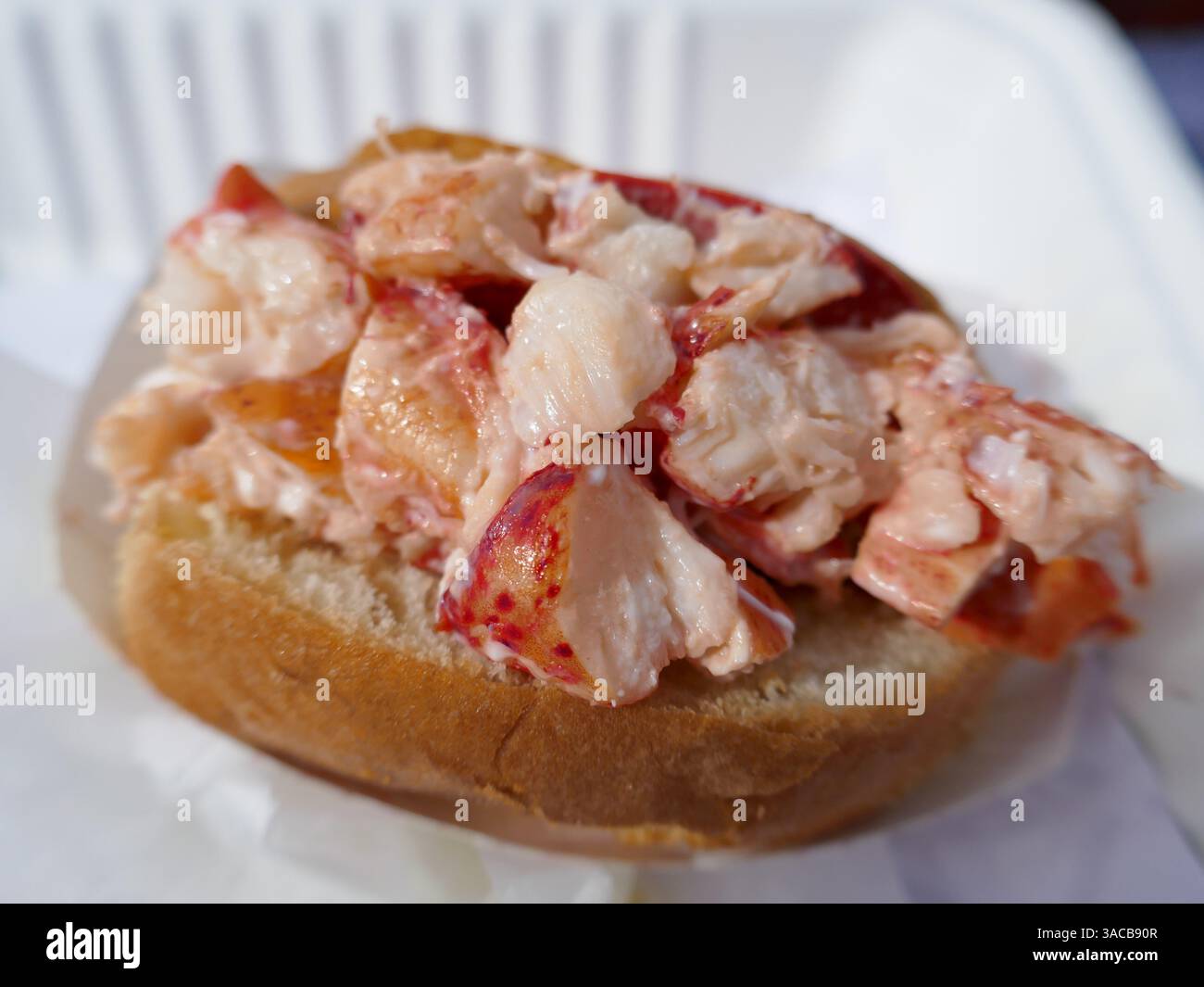 Delicious lobster roll seafood sandwich on toasted bread food ...