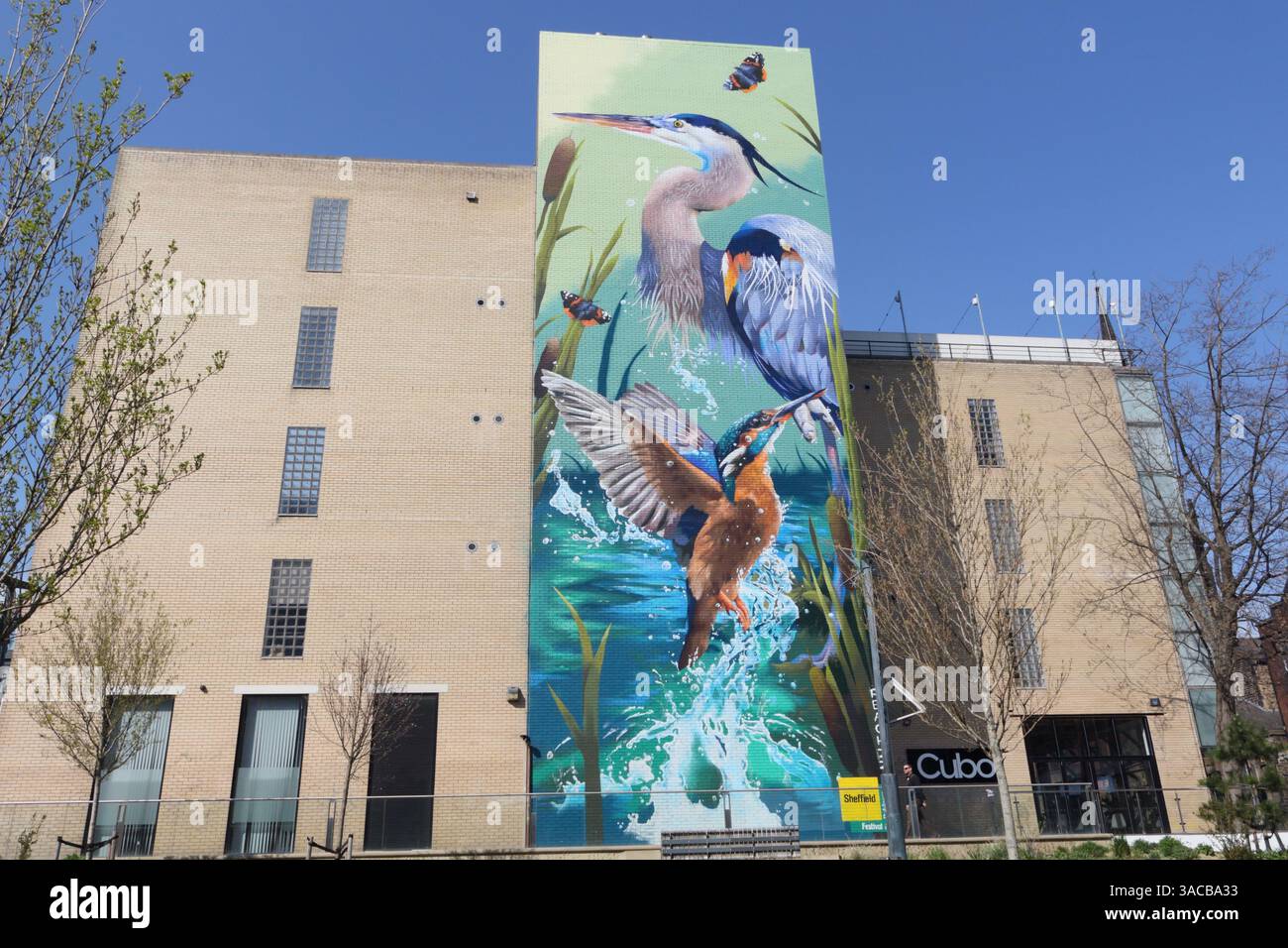 Kingfisher Heron mural street art Reverie Cubo building wall in Pounds ...