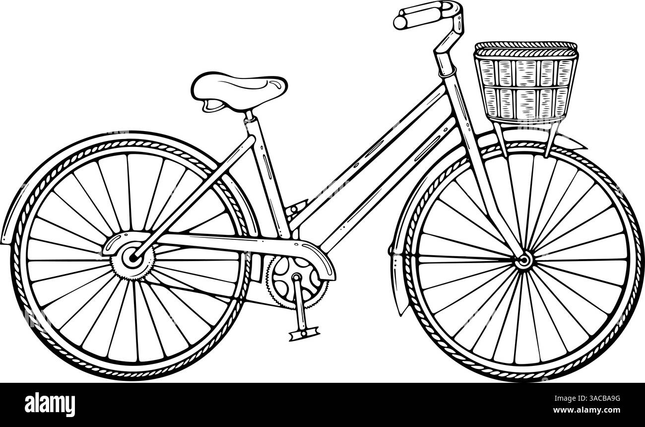 Bike with basket line art Stock Vector Image & Art - Alamy