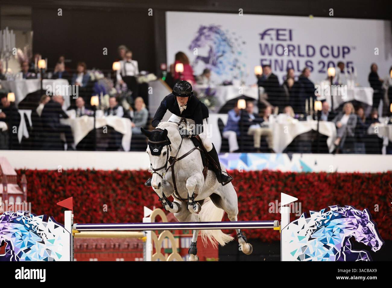 Martin Fuchs of Switzerland with Leone Jei during the LONGINES FEI ...