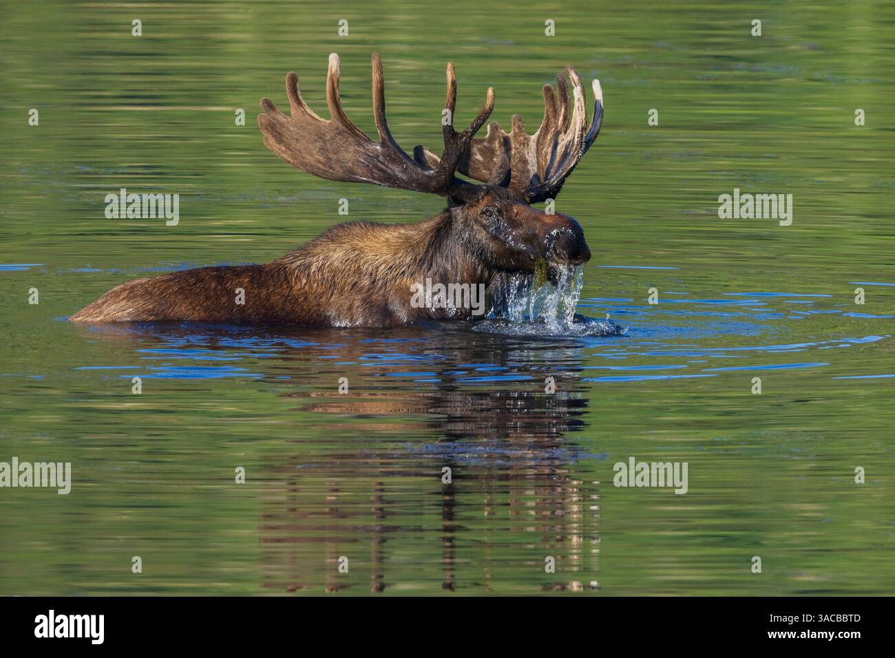 Small pond mountain hi-res stock photography and images - Alamy