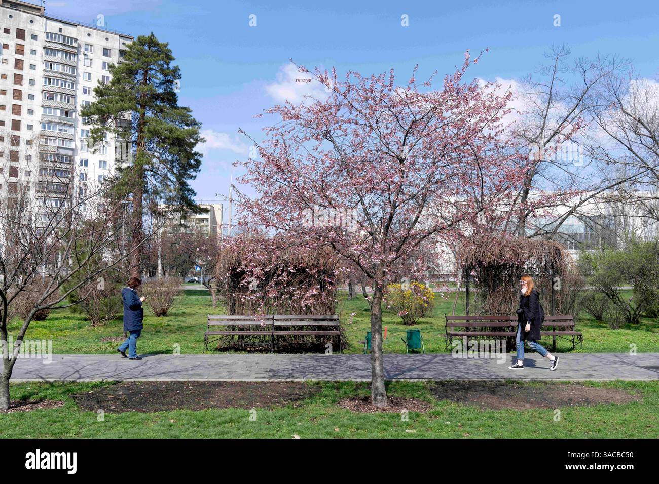 Kyiv, Kyiv City, Ukraine. 3rd Apr, 2025. With the arrival of spring in ...