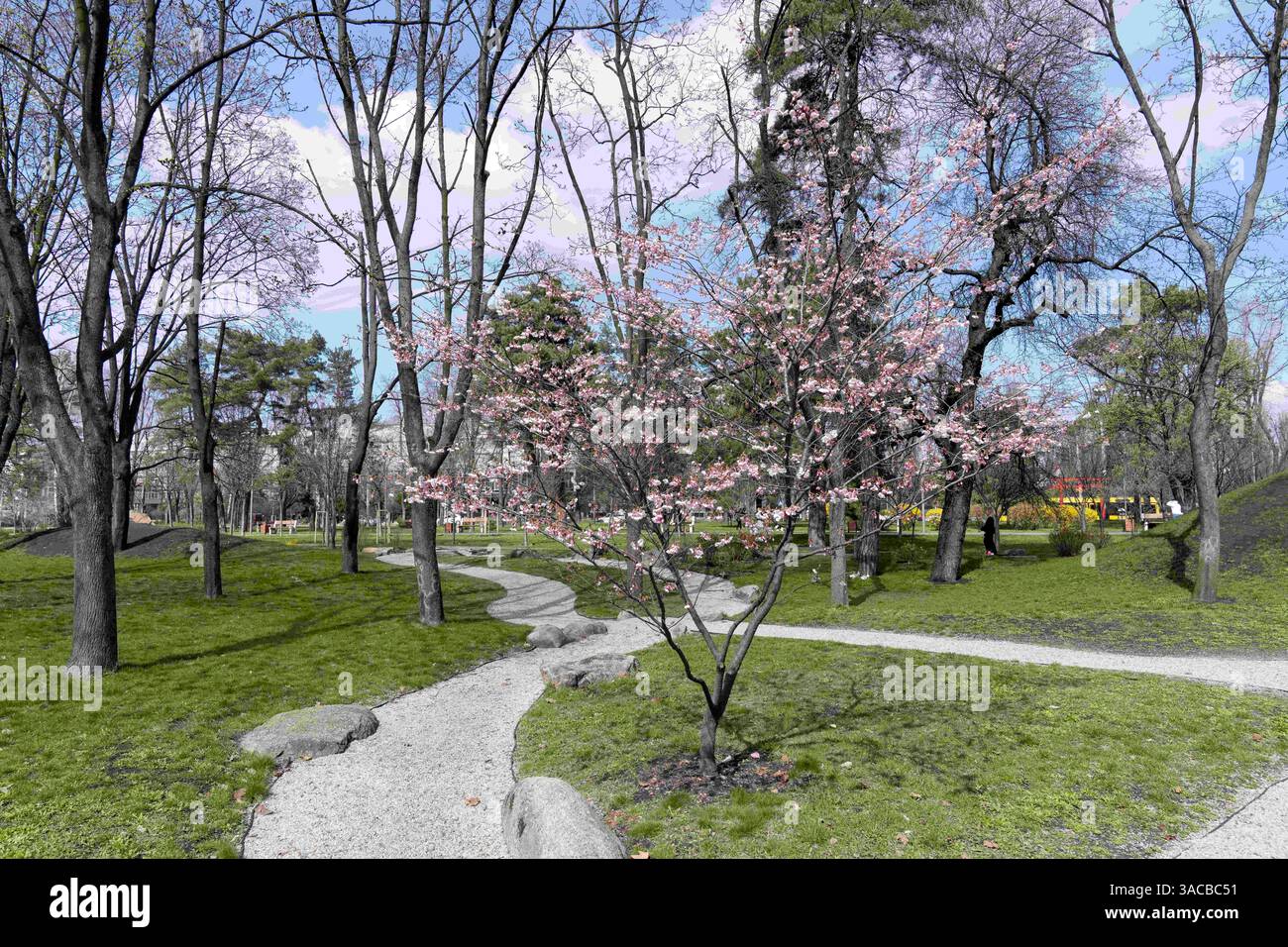 Kyiv, Kyiv City, Ukraine. 3rd Apr, 2025. With the arrival of spring in ...