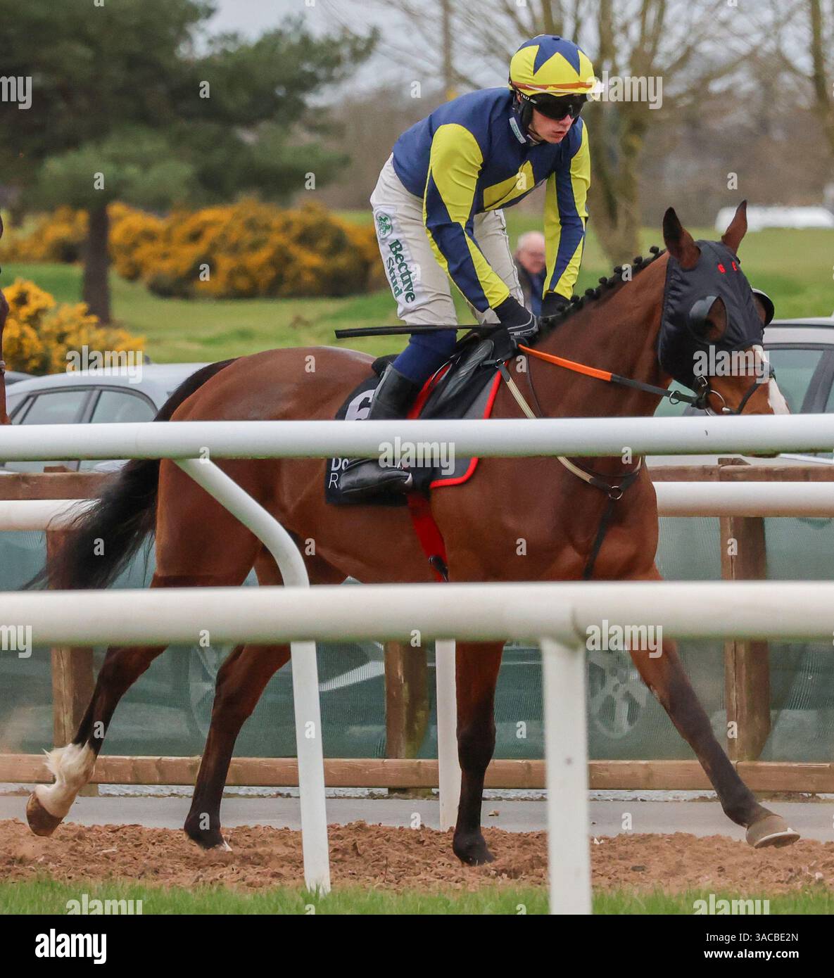 Lightkeeper danny gilligan 2025 hi-res stock photography and images - Alamy