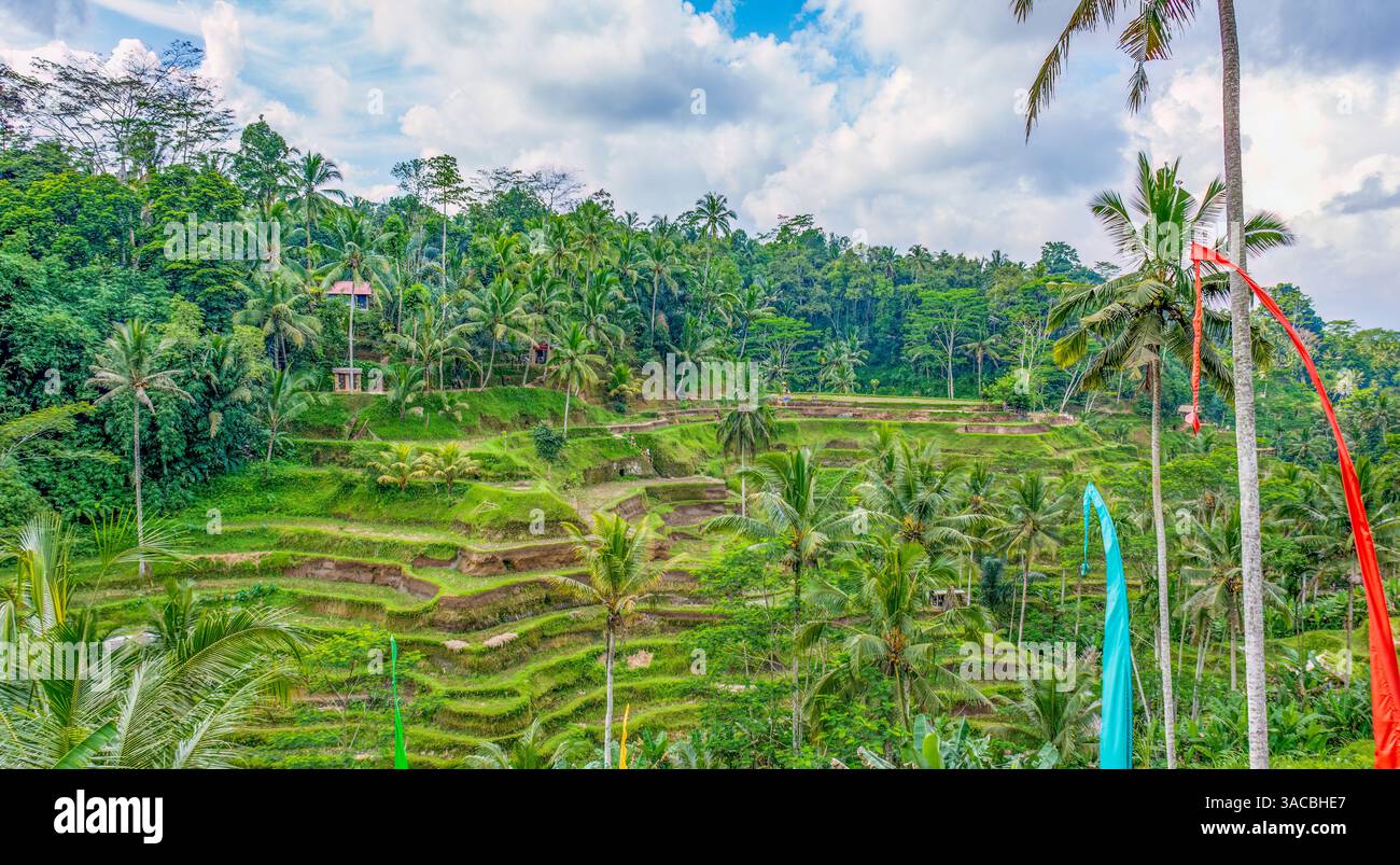 Bali, Indonesia. Landscape view of Umbul-Umbul, tail of the dragon ...