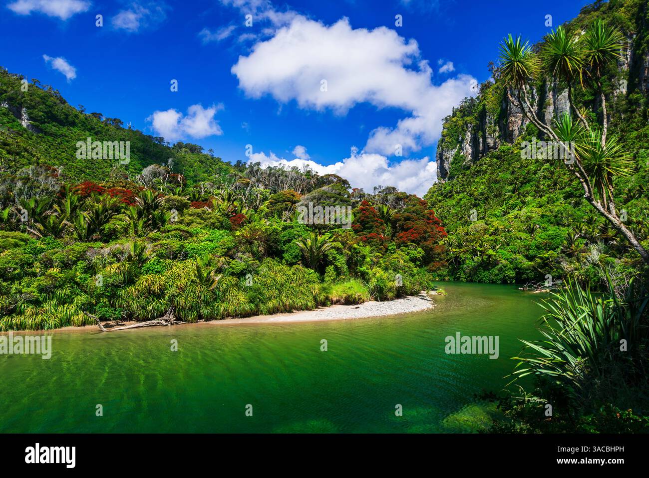 The Pororari River, Paparoa National Park, Punakaiki, New Zealand Stock ...
