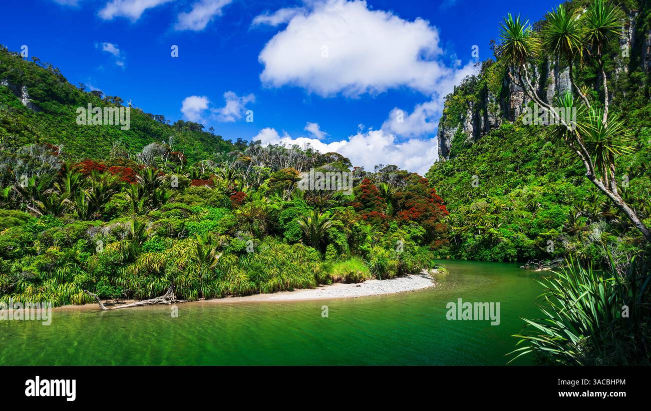 The Pororari River, Paparoa National Park, Punakaiki, New Zealand Stock ...