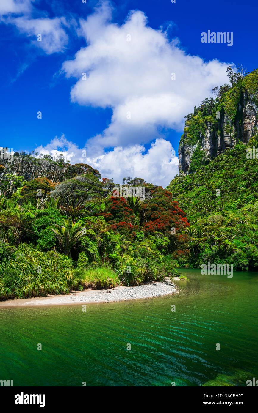 The Pororari River, Paparoa National Park, Punakaiki, New Zealand Stock ...