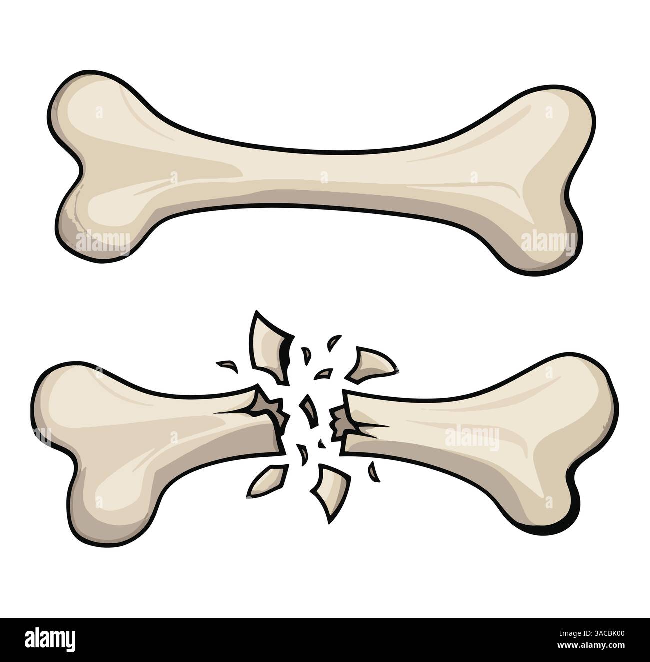 Set of human bone skeleton elements. Includes crossed bones for Jolly ...
