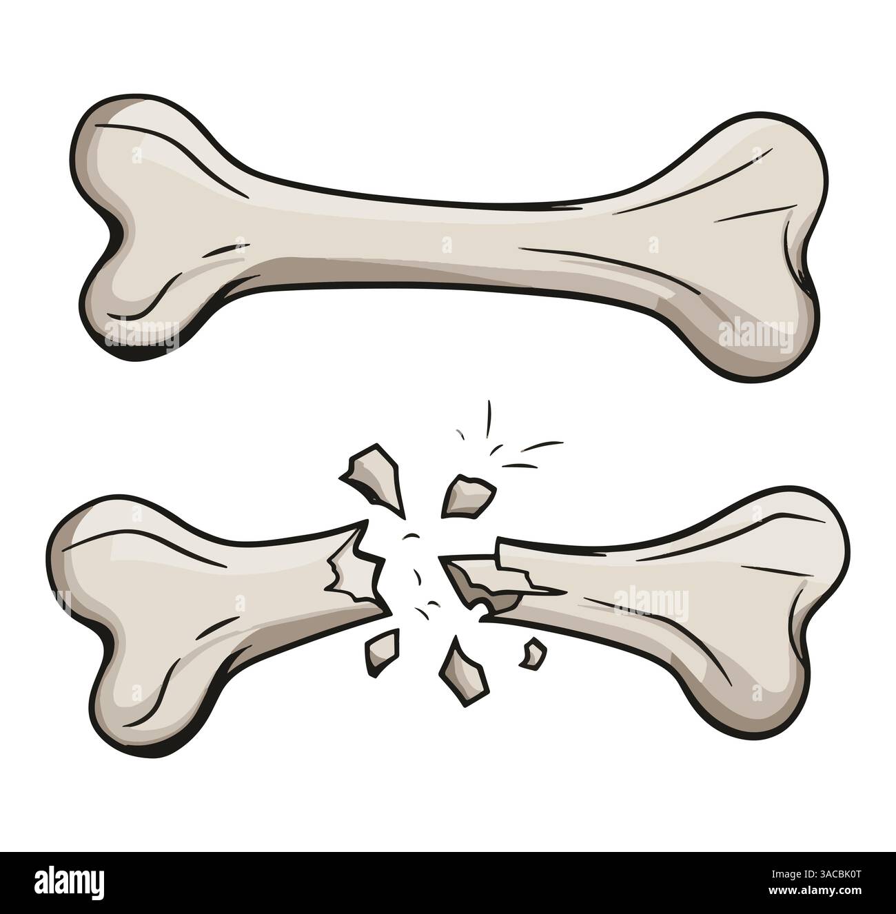Set of human bone skeleton elements. Includes crossed bones for Jolly ...