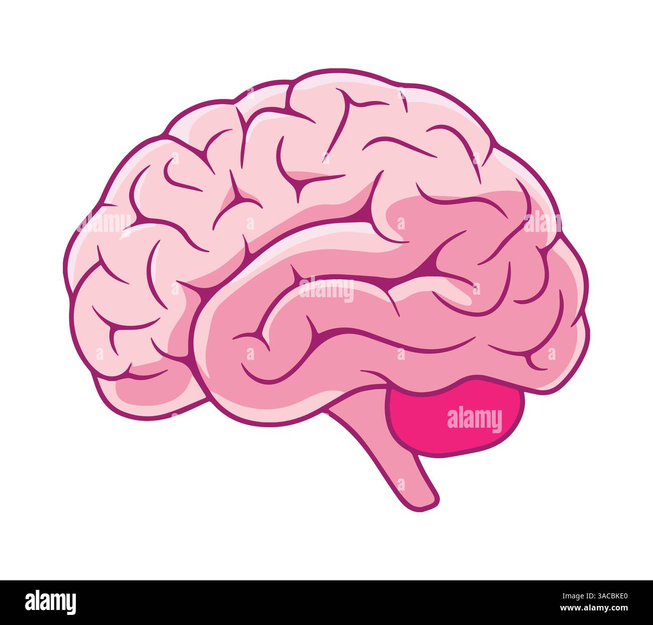 Hand-drawn brain doodle. Simple and creative illustration design ...
