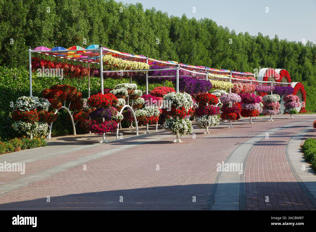 A Path with beautiful colorful flowers inside the famous Miracle Garden ...