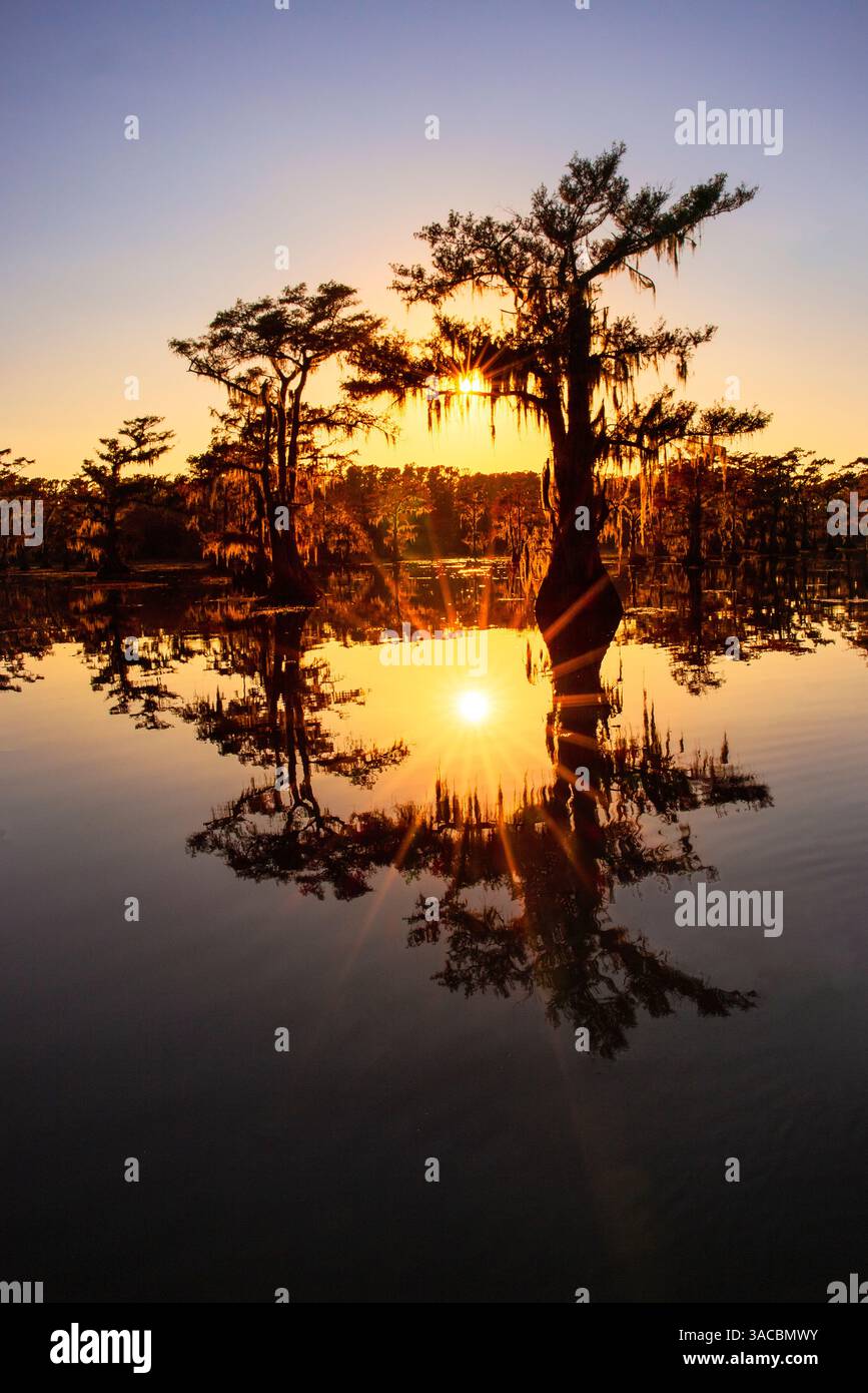 Sun star stand bald hi-res stock photography and images - Alamy