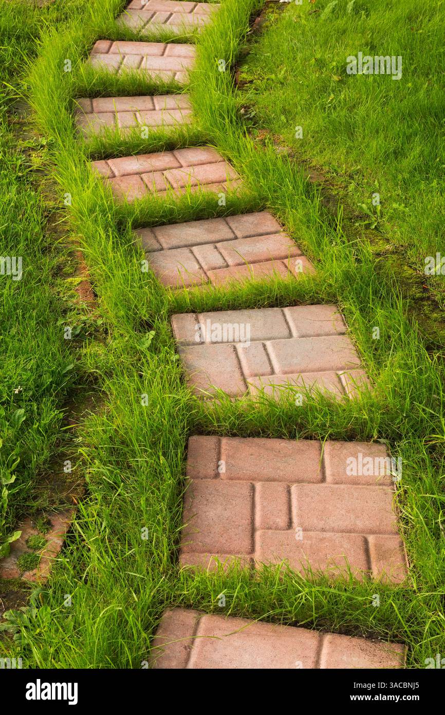 Tan and beige stepping stone path on grass lawn in backyard in summer ...