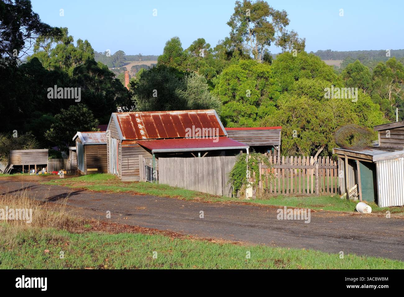 Pemberton: Weatherboard and rusty corrugated iron sheds, tall trees and ...