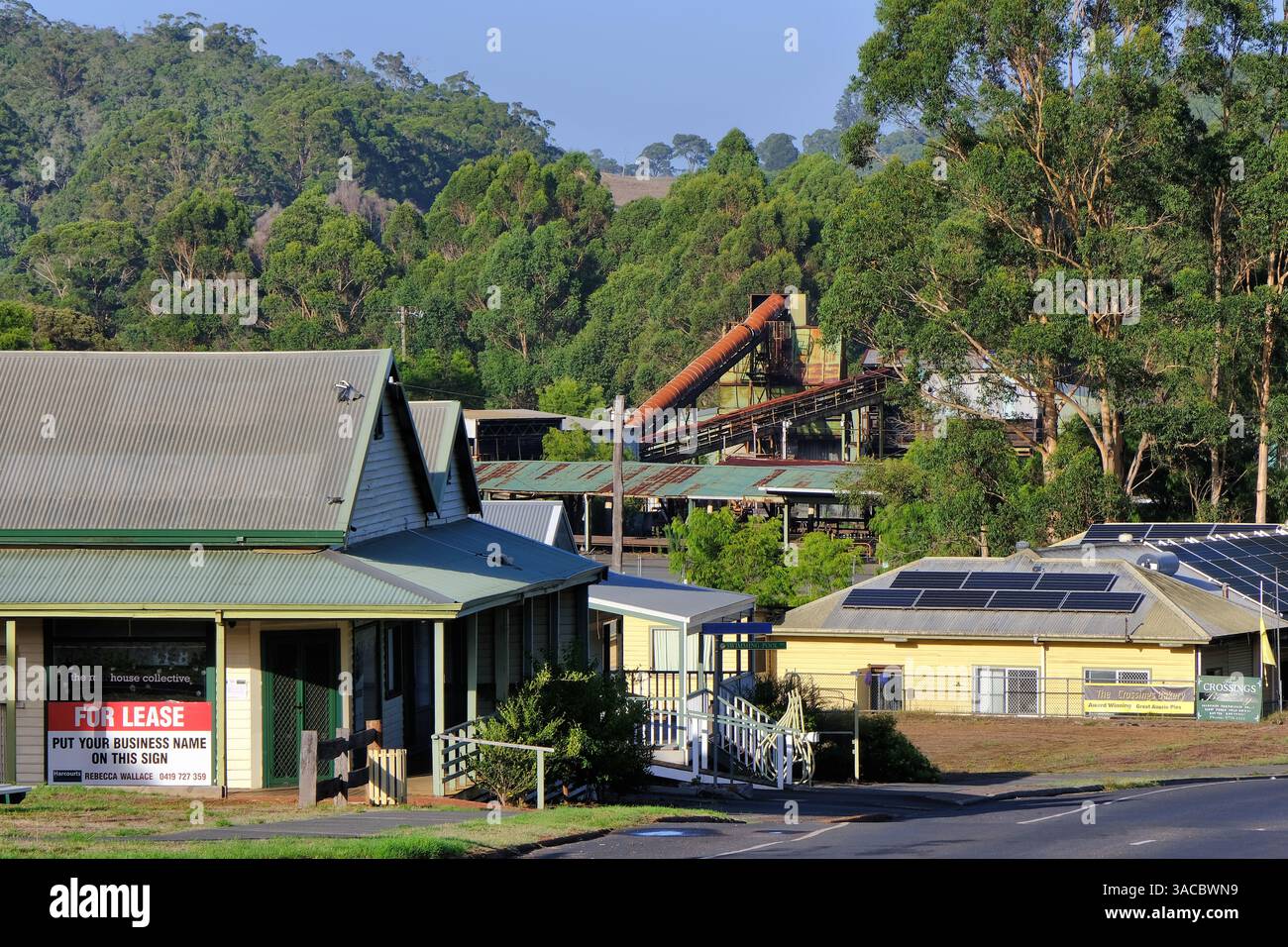 Pemberton: Sheds and equipment of closed timber mill with tall trees ...