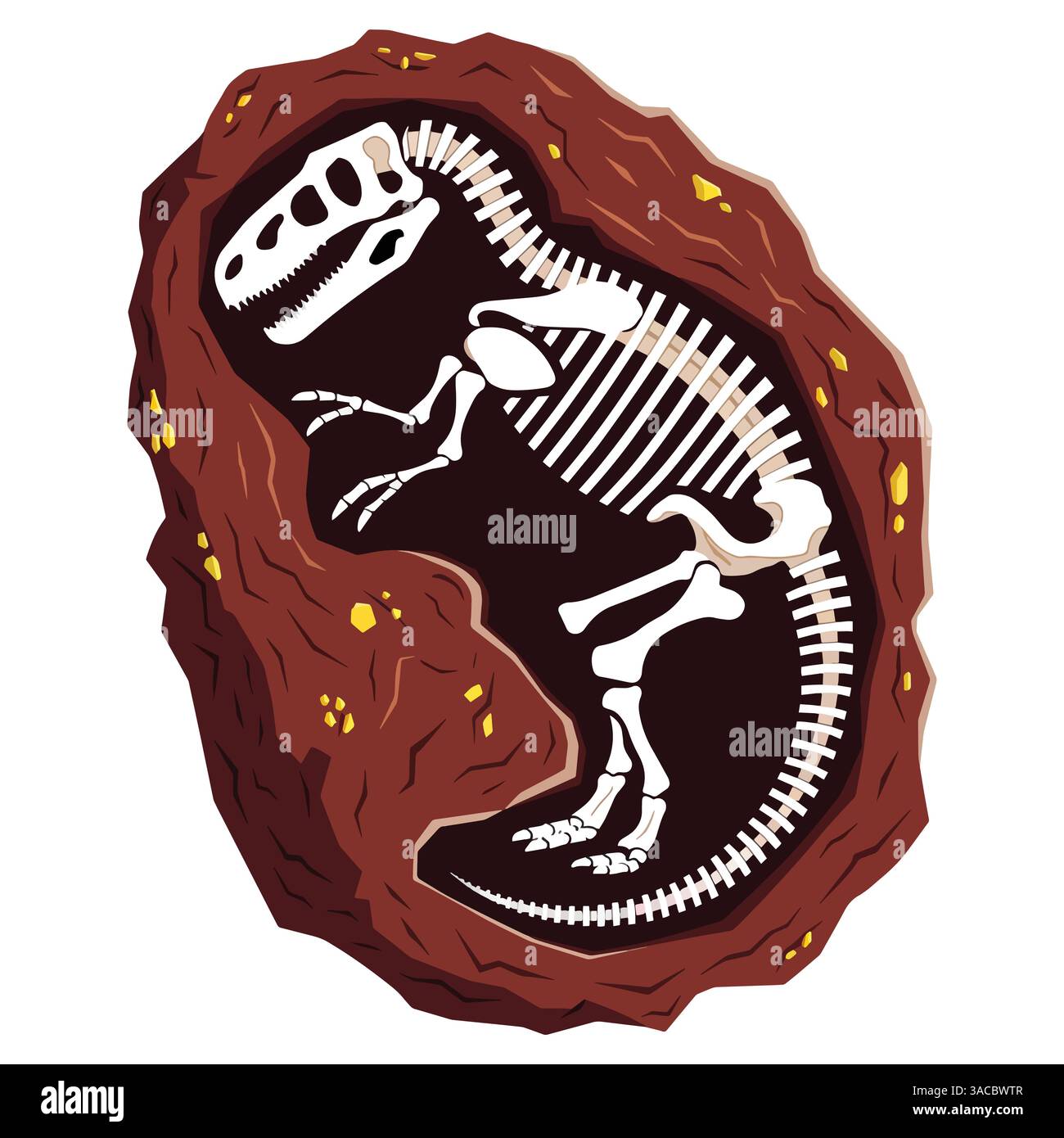 Cartoon T-rex dinosaur fossil illustration. Cute and detailed dino ...