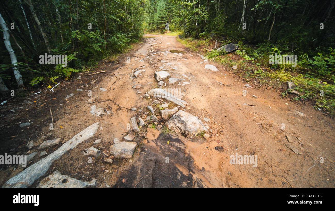 Winding forest road traversing rocky terrain, cutting through dense ...