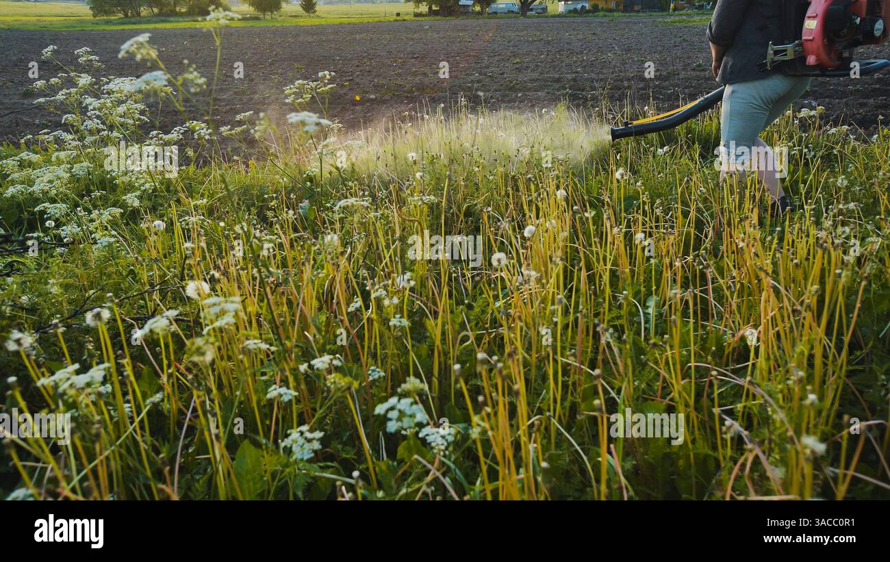 Farmer spraying pesticides with gas powered knapsack sprayer in field ...