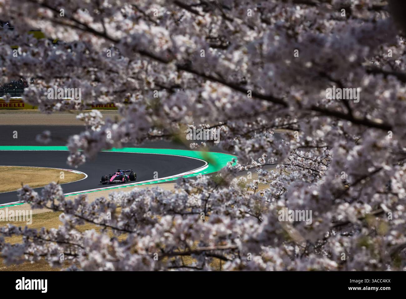 10 GASLY Pierre (fra), Alpine F1 Team A525, action during the Formula 1 ...