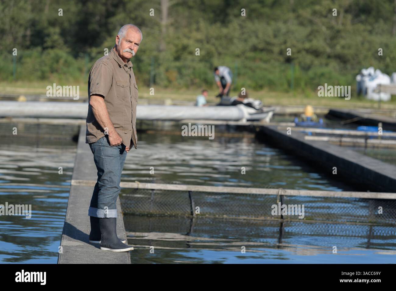 commercial fish farmer on walkway above enclosure Stock Photo - Alamy