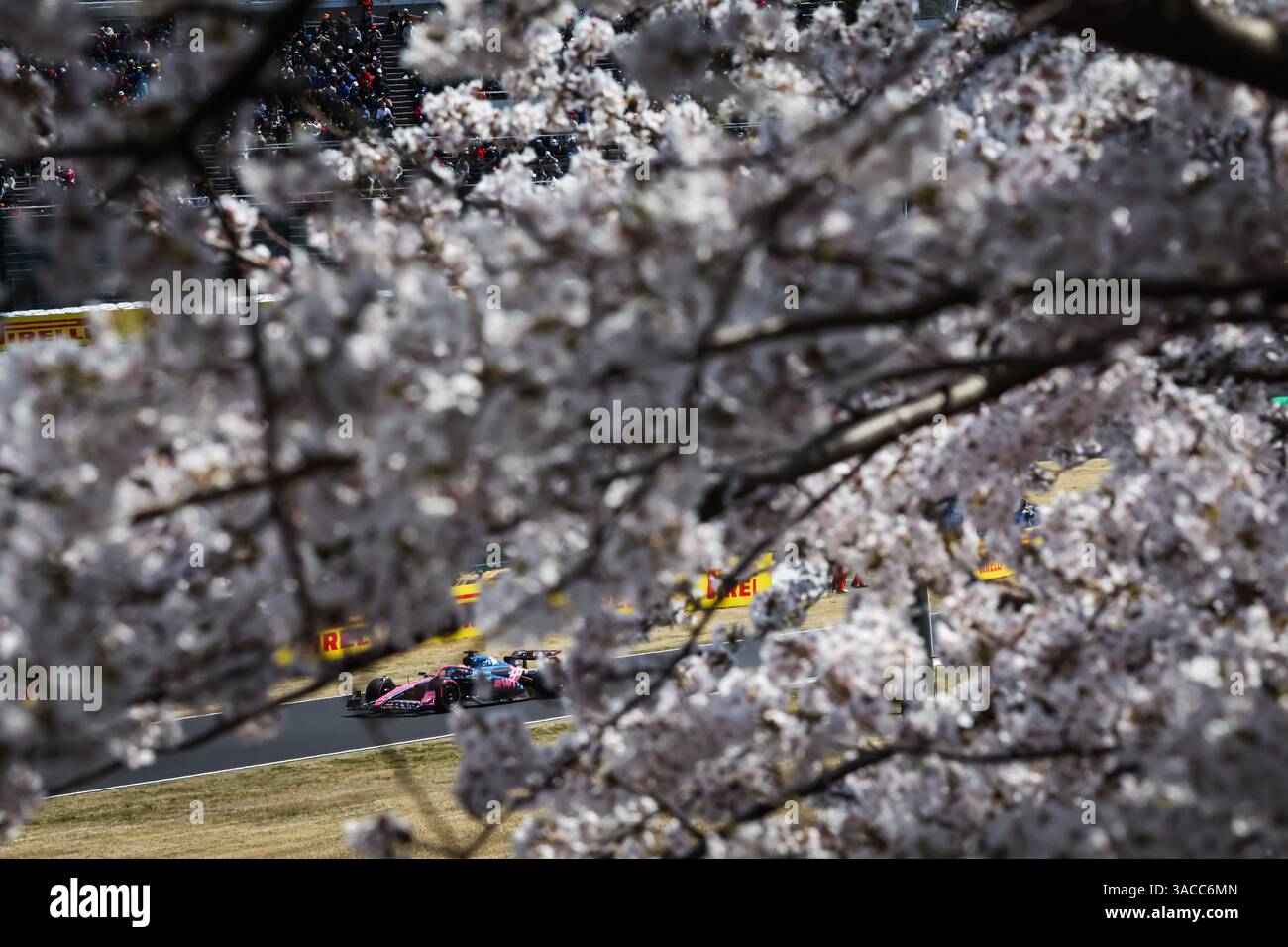 10 GASLY Pierre (fra), Alpine F1 Team A525, action during the Formula 1 ...