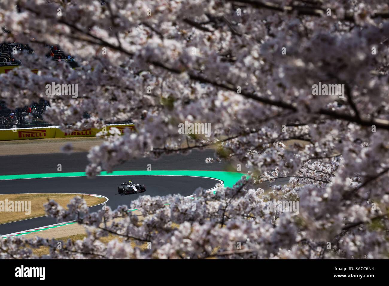 22 TSUNODA Yuki (jap), Red Bull Racing RB21, action during the Formula ...