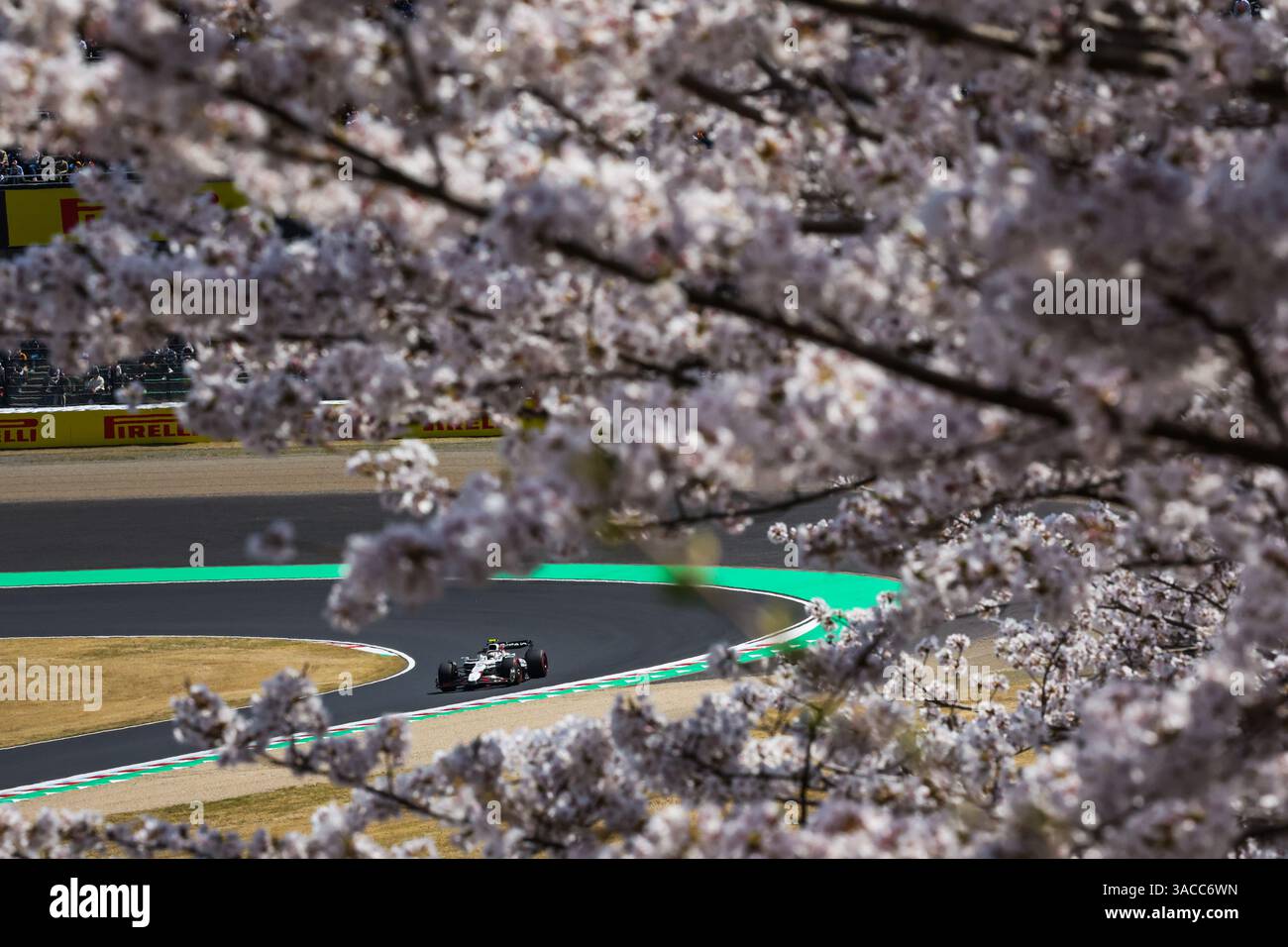 22 TSUNODA Yuki (jap), Red Bull Racing RB21, action during the Formula ...