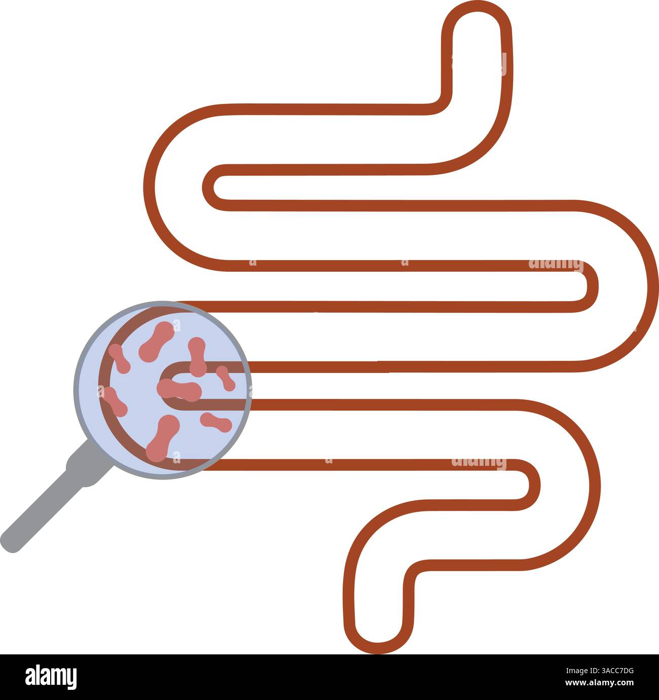 Lactobacillus probiotics icon. Normal gram-positive anaerobic ...