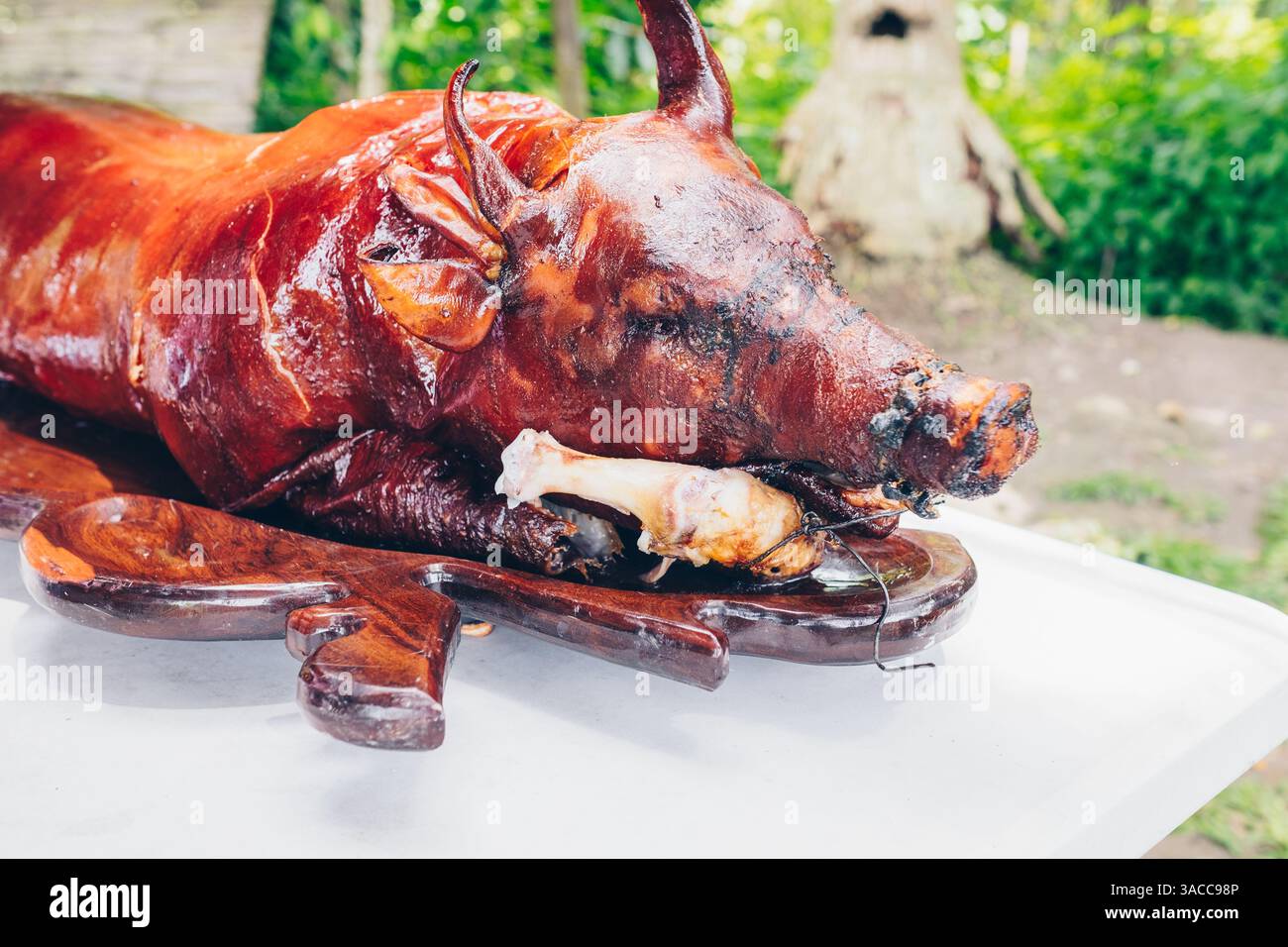 Close-up of the popular, delicious and crispy roasted pig known as ...