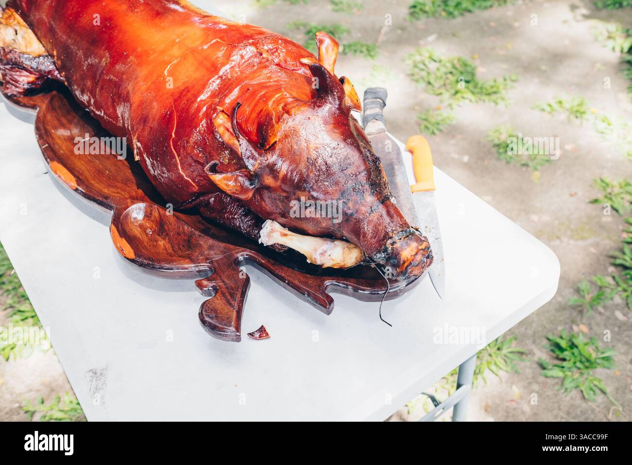 Close-up of the popular, delicious and crispy roasted pig known as ...